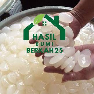Fresh Kolang kaling Geprek 1kg buah aren asli kiloan ||CANGKALENG ...