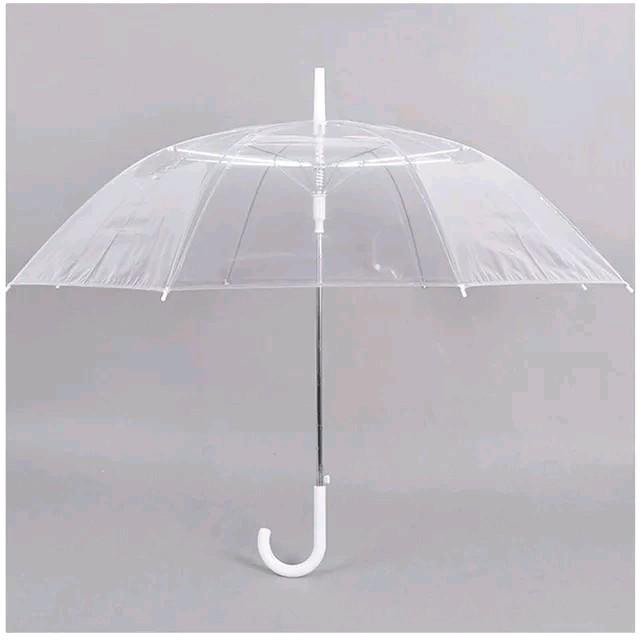 Nicard Transparent Umbrella With White Handle - TikTok Shop Singapore