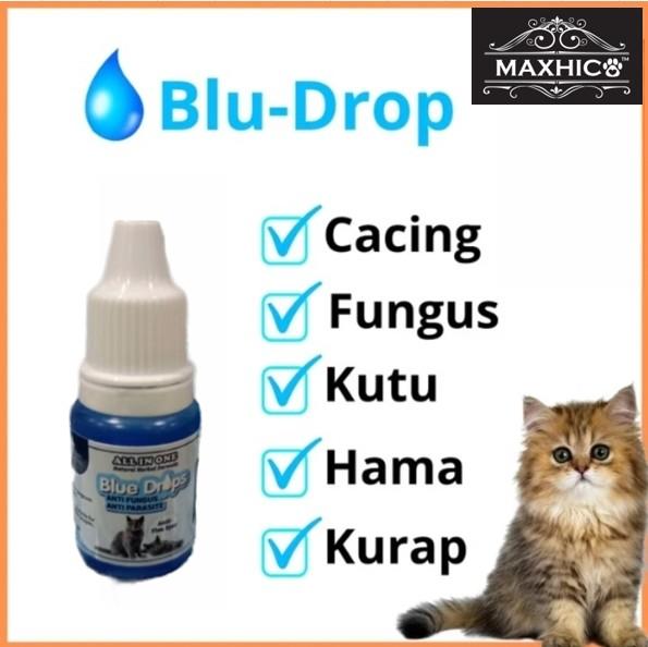 Maxhico Blue Drop 10ml Untuk Hapuskan Kurap Kutu Hama Fungus - TikTok ...