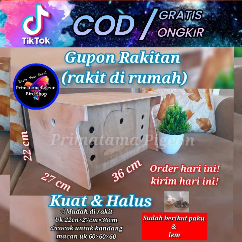 Gupon merpati Rakitan (rakit di rumah) Kandang Gupon Burung Merpati ...