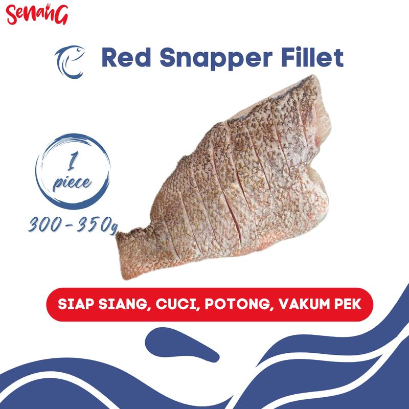 [Senang Foods] Red Snapper Fillet (Potongan Filet Ikan Merah - TikTok ...