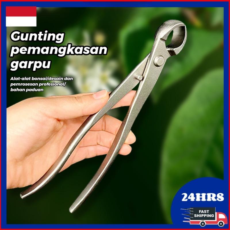 Gunting Dahan Pemotong Catok Bonsai Cembung 21cm Cabang Poho - Shop ...