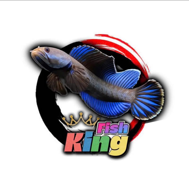 Logo Andrao 2Fin ( Đẹp ) - Tráng Trí Dán Tường - TikTok Shop Vietnam