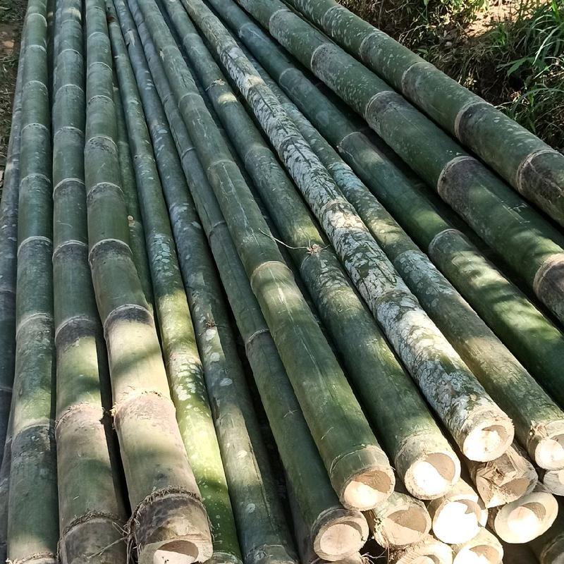 Bambu Safety untuk Pria dan Wanita - Jual Beli - Katun, Shoes ...