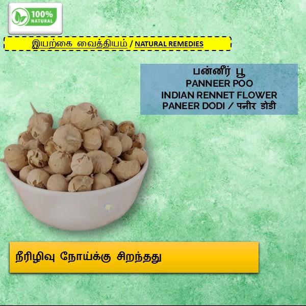 Paneer Poo / Indian Rennet Flower / Paneer Phool / பன்னீர் பூ (100G ...