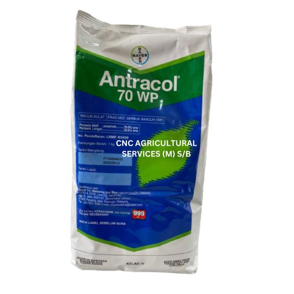 1KG Antracol 70WP Bayer Racun Kulat Propineb Untuk Tanaman Sayur ...