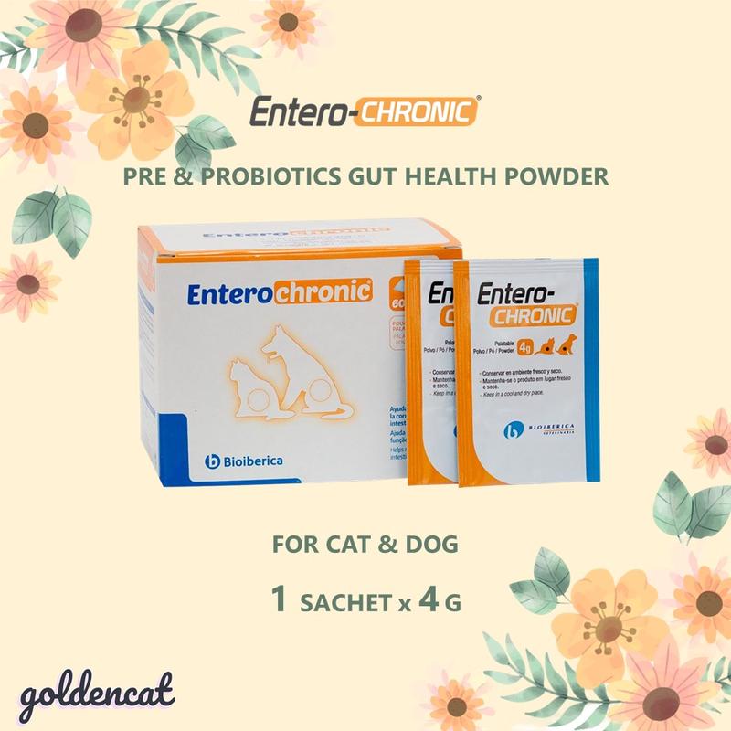 Bioiberica Entero-Chronic for Dog & Cat ~ 1 Sachet (4G) (EXP - TikTok ...