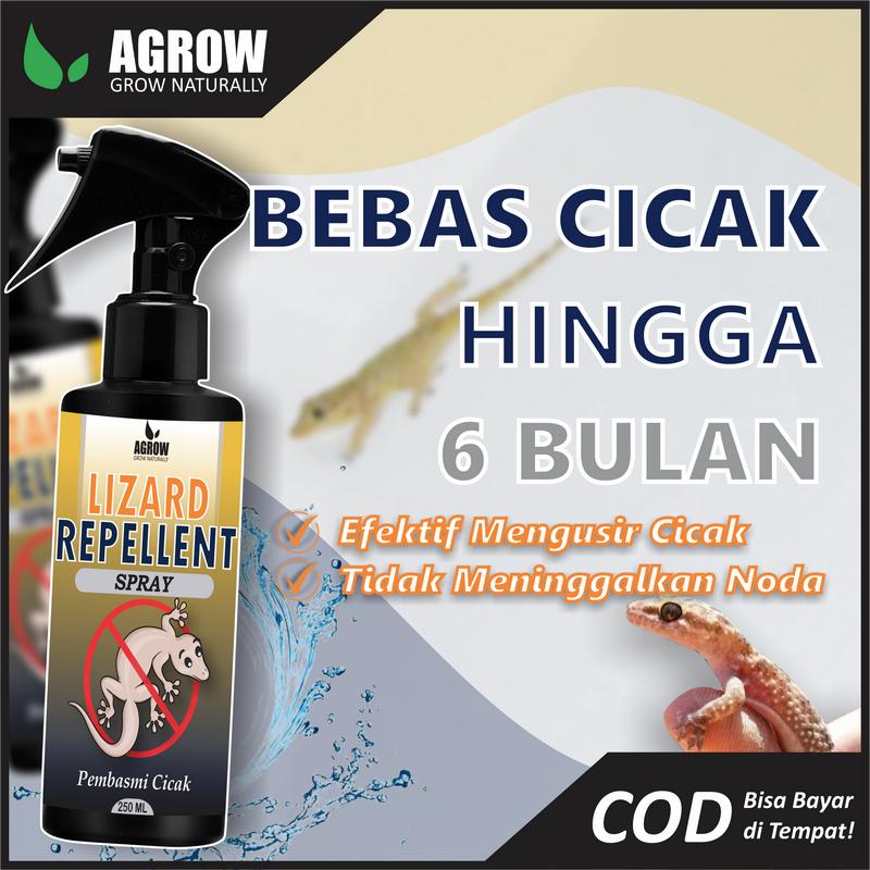 Spray Pengusir Cicak Ampuh Aromatic Spray Cicak Repellent Organik ...