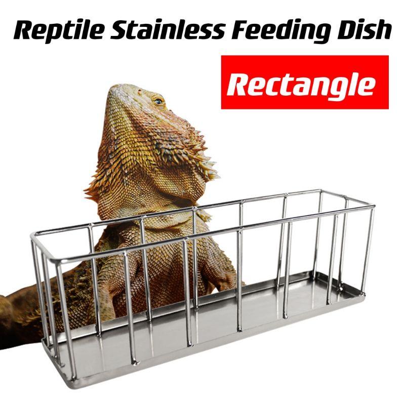 Pinggan Makan Reptilia Keluli Tahan Karat Segi Empat Pinggan - TikTok ...