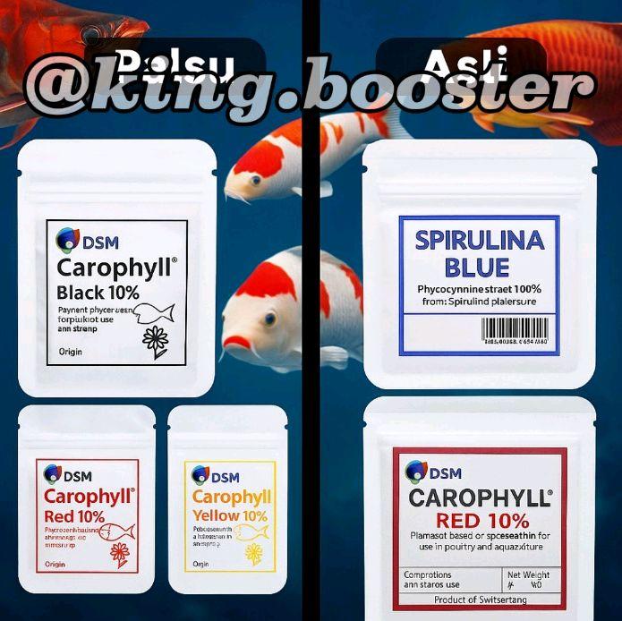 Carophyll Original DSM - Edukasi Varian Pilihan Pembeli Cerdas - Shop ...