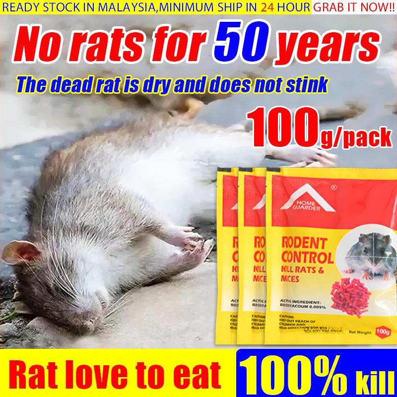 No rats for 50 years 】 rat poison killer racun tikus palin - TikTok ...