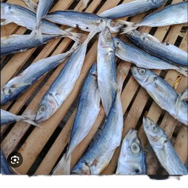 Dried fish Galunggong Tuyo form bicol Vacuum sealed 100g 250g - TikTok ...