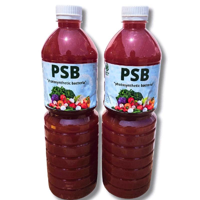 PSB Bakteri Fotosintesis Pupuk Organik Cair Alami Tanaman - Shop ...