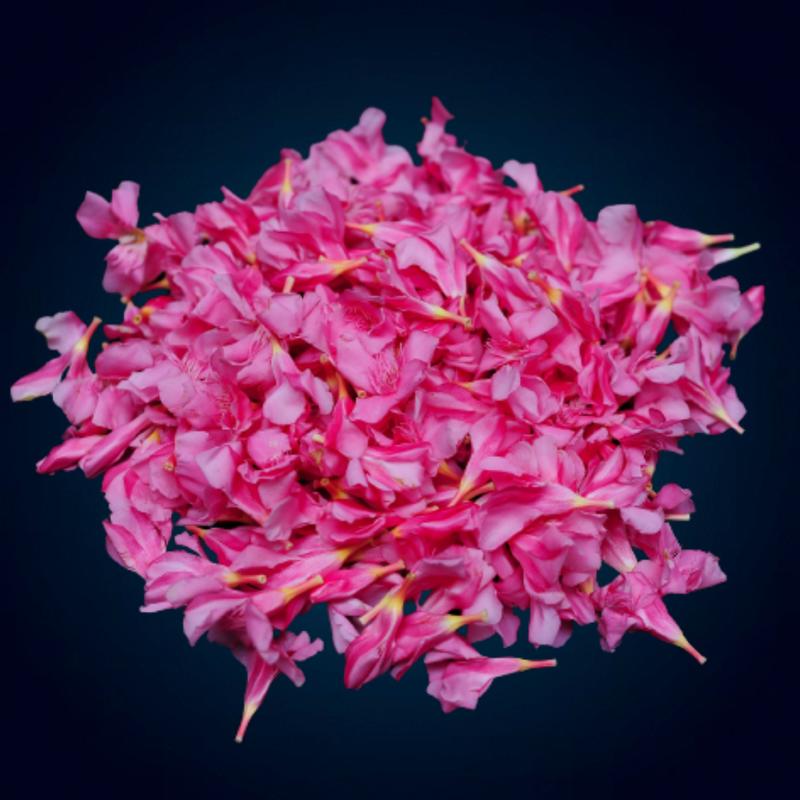 Pink and dark pink Arali 100g, 500gm, 1kg Available - TikTok Shop Malaysia