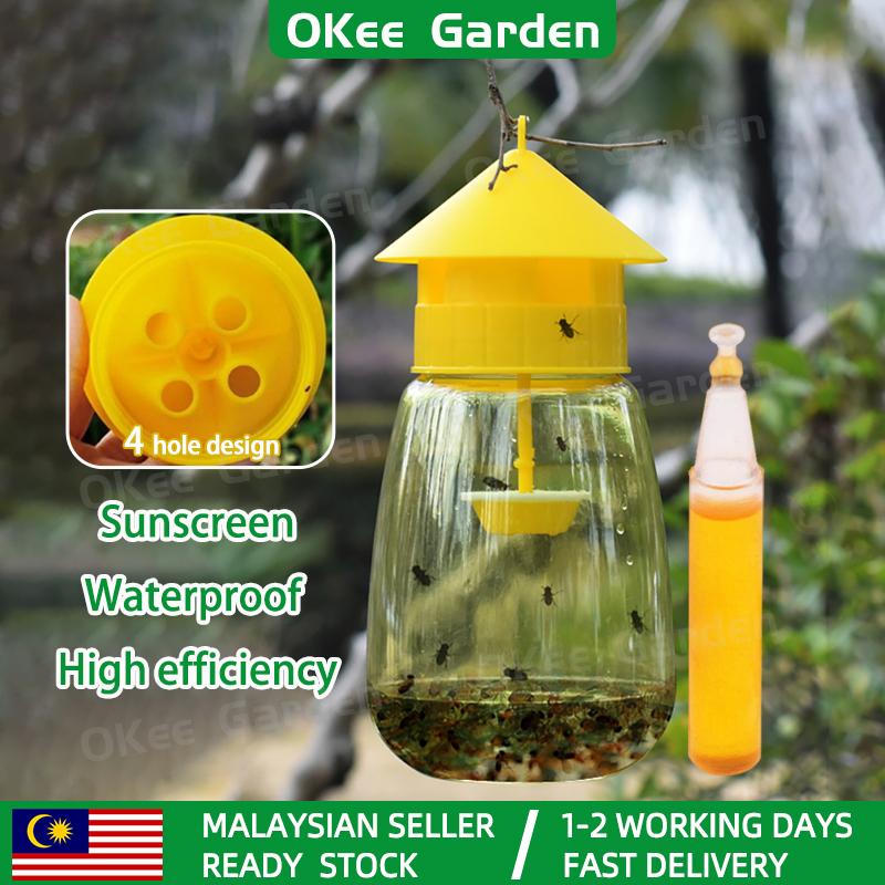 【OKee】Malaysia In Stock Wasp Trap Fruit Fly Flies Insect Bug - TikTok ...
