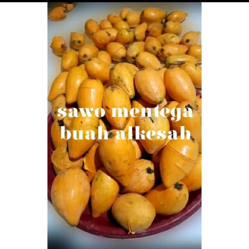 buah alkesah/sawo walanda / 1kg termurah - Shop | Tokopedia