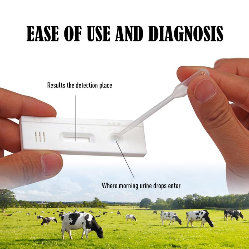Cow Pregnancy Test Strip, 3 x 0.9 Inch Cow Pregnancy Tester, - TikTok ...