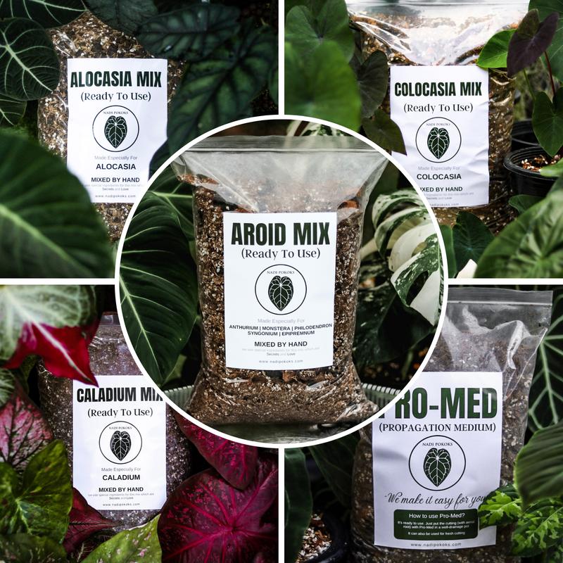 Soil Mix Signature by NADI POKOKS baja air - TikTok Shop Malaysia
