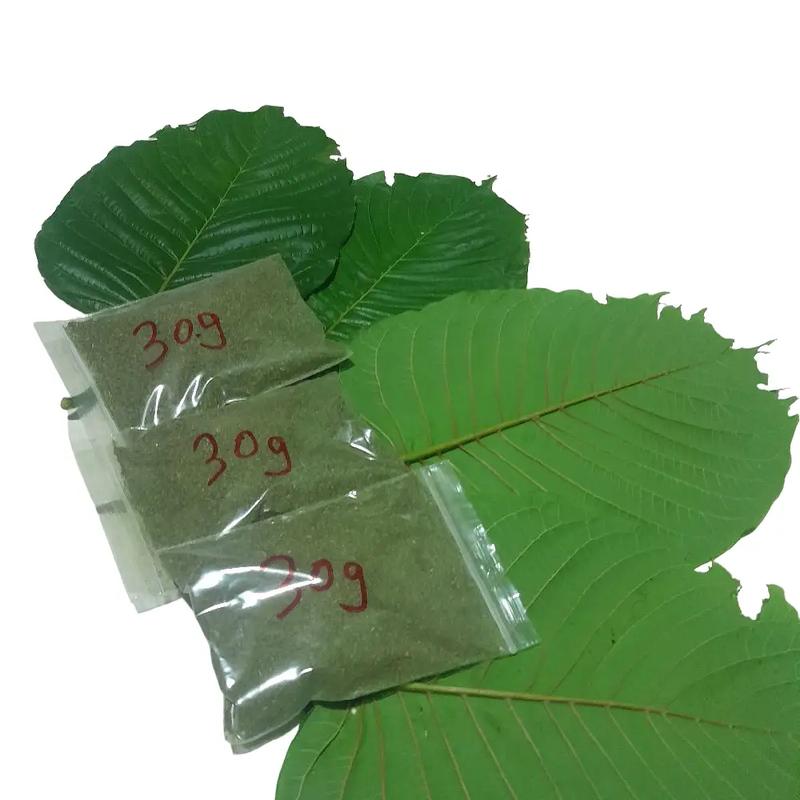Serbuk Tradisional KTM Urat Merah 50gram untuk Mengurangi Sakit ...