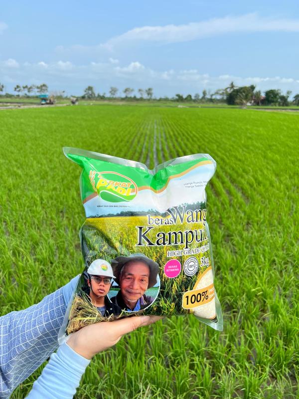 Berkat Padi Beras Wangi Kampung 3kg Tanam di Selangor - Tanpa - TikTok ...