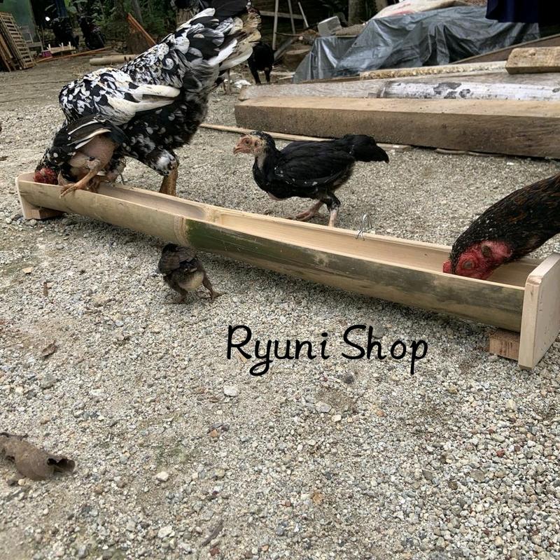 tempat makan ayam bambu panjang - Shop | Tokopedia