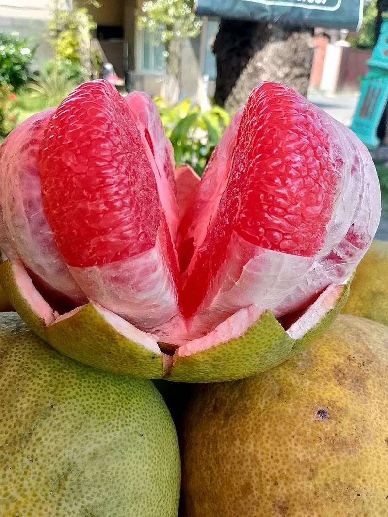 JERUK PAMELO BALI MERAH MANIS - Shop | Tokopedia
