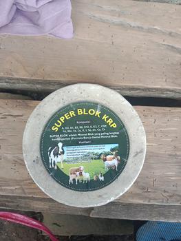 Mineral Blok 500 gram - Super Blok - Mineral Blok untuk Kambing - Shop ...