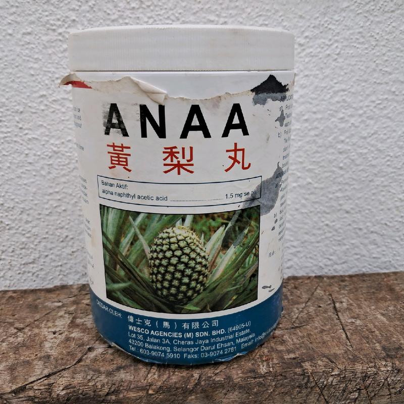 50 biji Pil ANAA Hormon Penggalak Bunga dan Membesar Buah Nanas ...