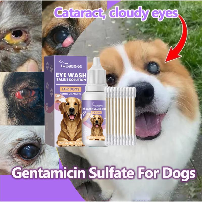 PET Gentamicin Sulfate Eye Drops For Infection For Dogs & Cats - TikTok ...