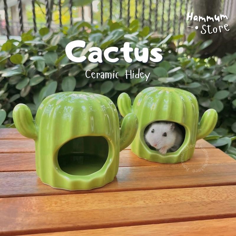 Keramik Haus Fur Hamster