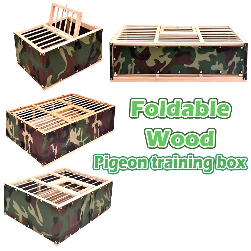 Taiwan Pigeon training box Wood Foldable Tbox cage for pigeo - TikTok ...
