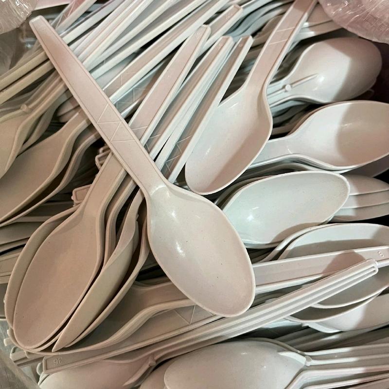 25pcs Disposable Plastic Spoons/Forks - White, Black, Assorted - TikTok ...