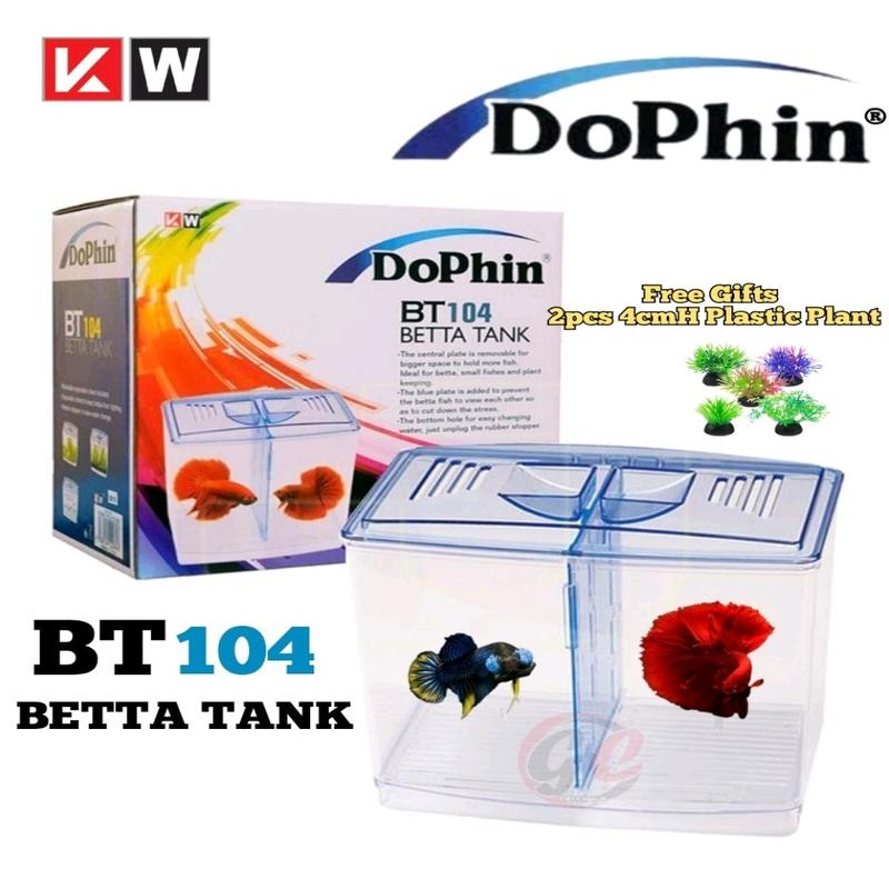 DoPhin BT104 Betta Tank 2L/ Bekas Ikan Laga Kembar Bersekat - TikTok Shop Malaysia
