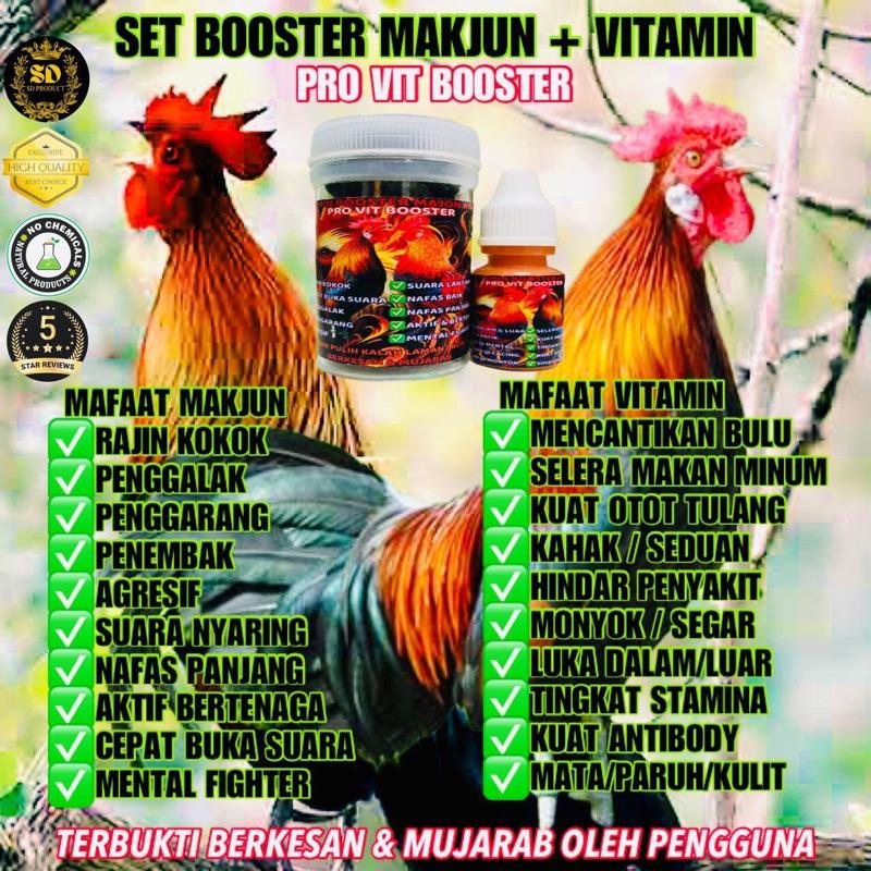 Satu set bon dan mikat vitamin booster ayam majon + vitamin - TikTok ...