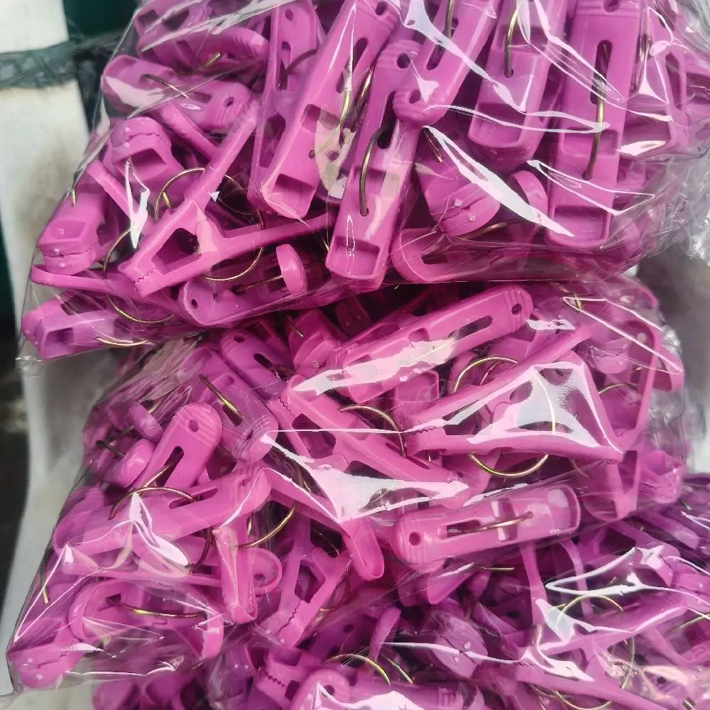 60pcs SIPIT NG DAMIT,pangsipit,sipet,pang ipit sa damit,clothes clip ...