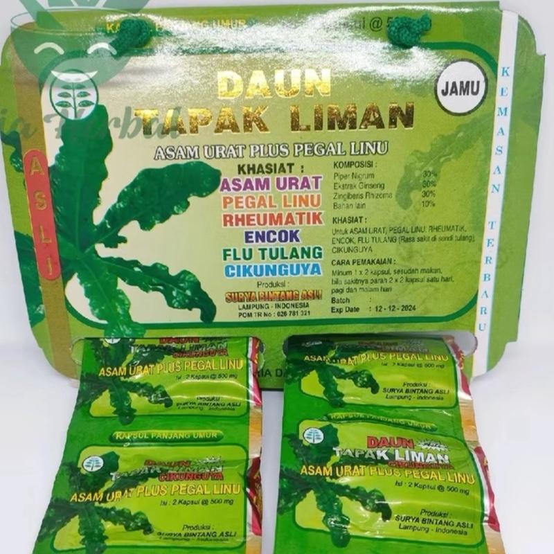 Daun Tapak Liman Kapsul Jamu Herbal Rematik Asam Urat Nyeri Sendi ...