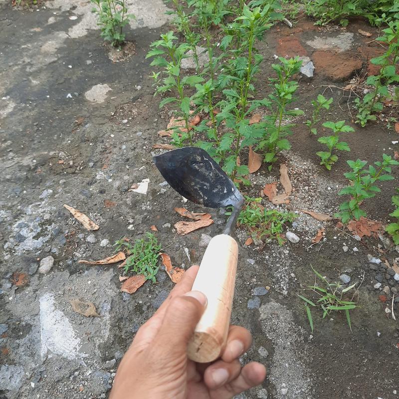 Grosir 100Pcs Wangkil miring pembersih rumput / Gratul (cangkul - Shop ...