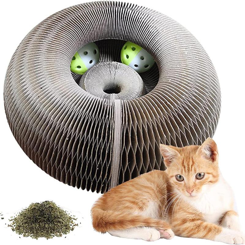 Magic Cat Scratch Organ Board Cat Toy with Ball Cat Grinding - TikTok ...
