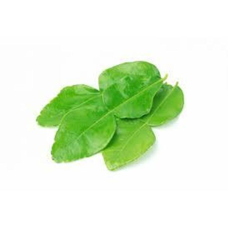 Kaffir Lime Leaves / Daun Limau (Seikat/ 35g) - TikTok Shop Malaysia