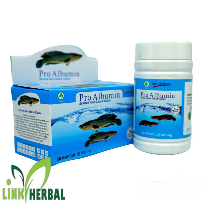 Kapsul Pro Albumin Ash Shihhah Ekstrak Ikan Gabus - 50 Kapsul @500mg ...