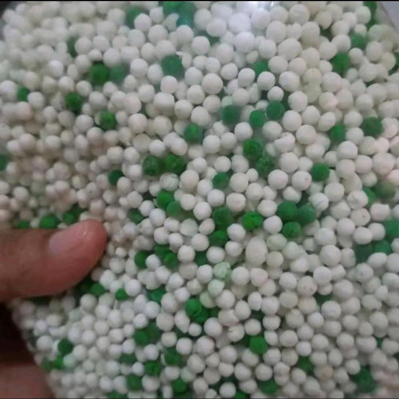 Sagu Mutiara Hijau Termurah |Sagu Mutiara Hijau 500gr - Shop | Tokopedia