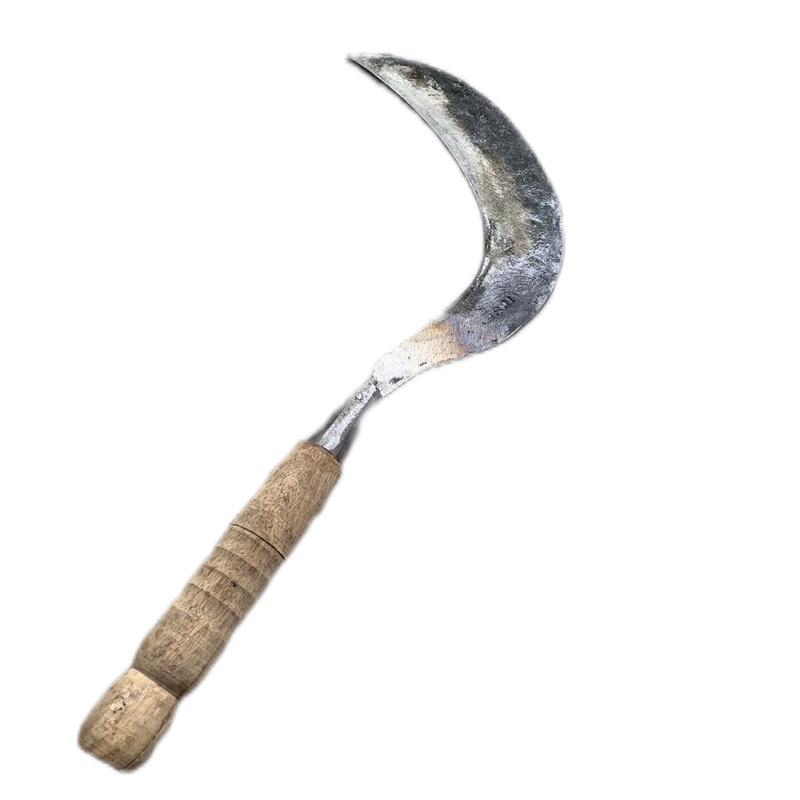 SABIT rumput baja asli sepuh - Shop | Tokopedia