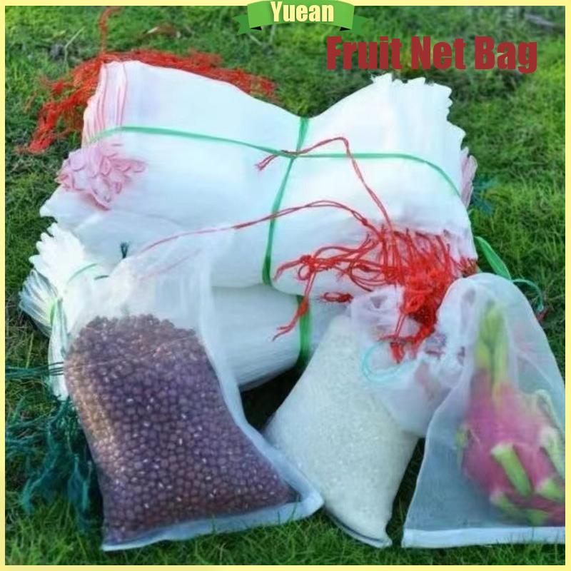 Mesh Fruit Fly Kebun Beg Buah Garden Fruit Protect Fruit Net - TikTok ...