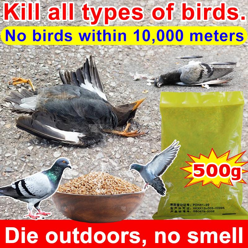 Bird poison kills doves and all types of birds 500G racun burung ...