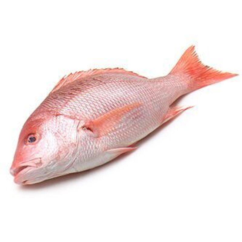 [Fresh] Ikan Merah / Red Snapper (1kg) - TikTok Shop Malaysia