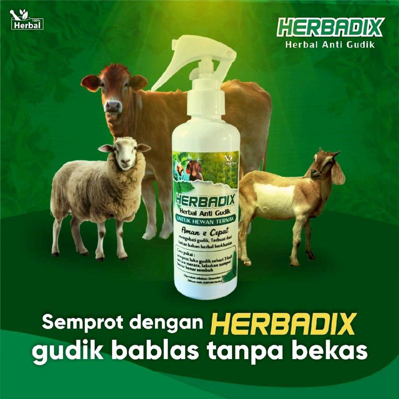 Obat Ternak Herbadik Untuk Hewan Ternak dan Peliharaan yang Terkena ...