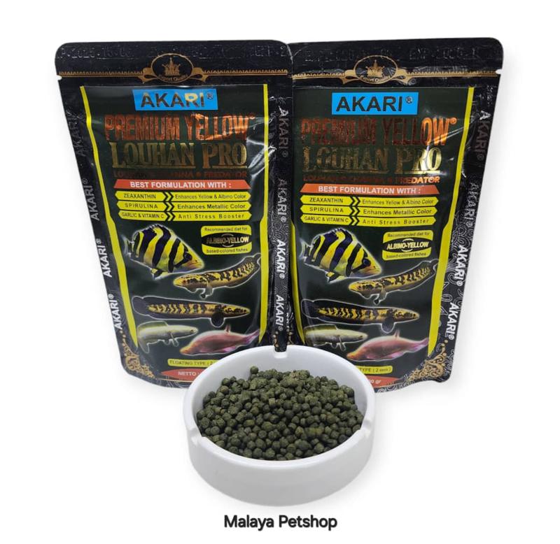 Akari Premium Yellow Louhan Pro Saiz 2mm [Akari Premium Yellow - TikTok ...