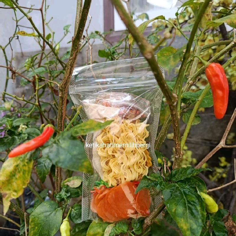 seblak instan 10 bungkus gurih lada - Shop | Tokopedia