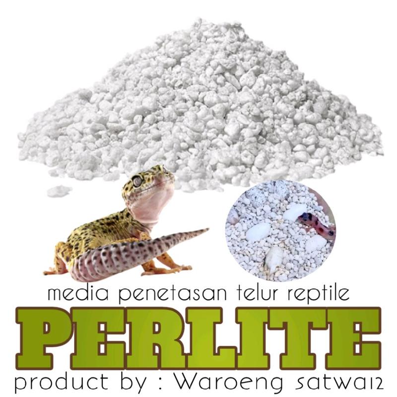 Perlite media incubasi telur reptile gecko media tetas penetasan - Shop ...