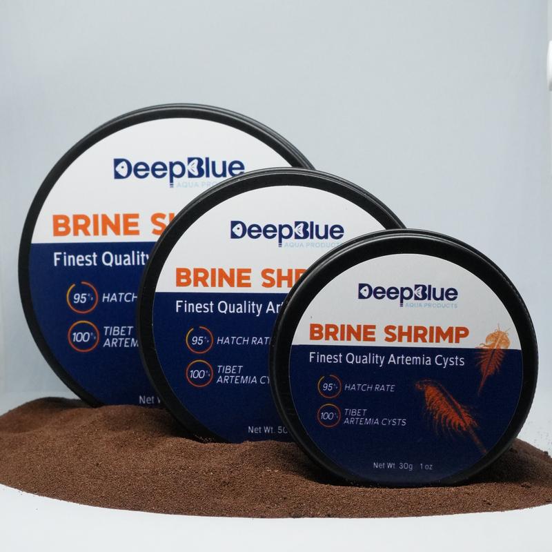 Deep Blue Brine Shrimp / Artemia Cysts Small Cans (30g,50g,100g ...